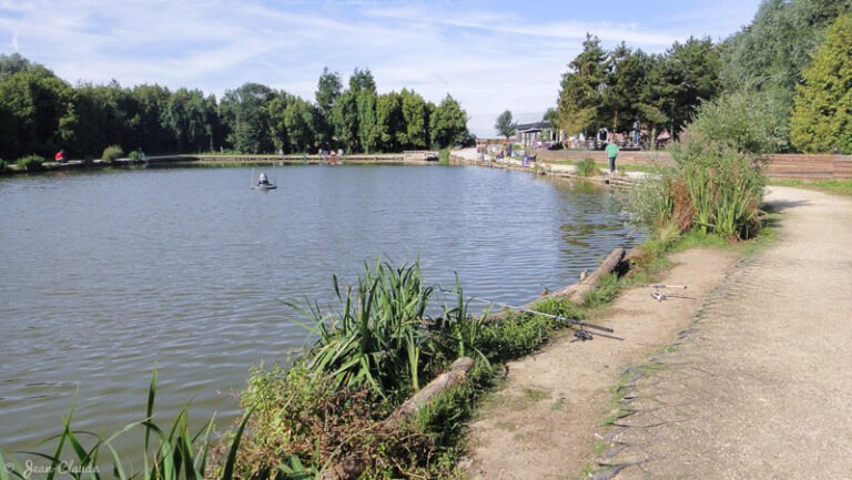 Guide Ultime: Pêche de la Truite en Étang Guide Ultime: Pêche de la Truite en Étang