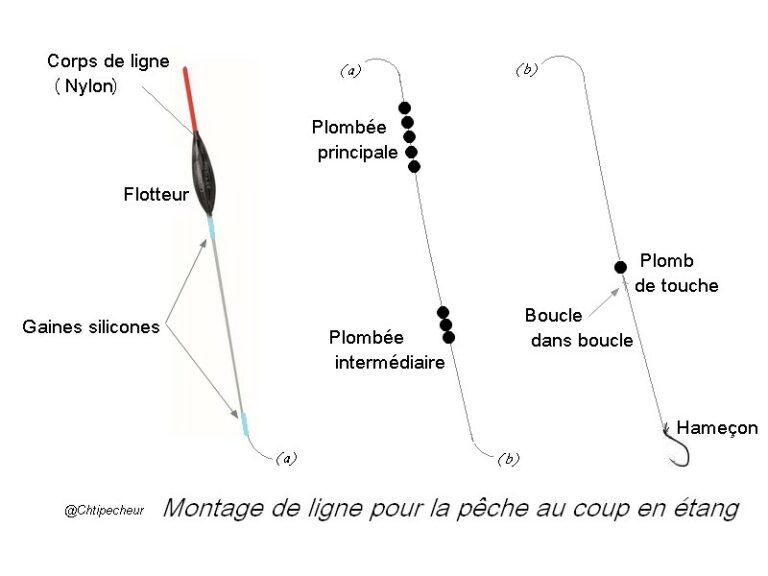 Guide complet : monter une ligne de pêche au coup