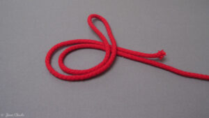 🌟 Nœud de boucle simple (Nœud de plein poing)