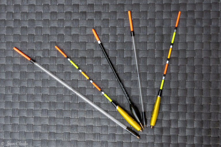 Pêche à l’anglaise : Bien débuter avec le waggler!