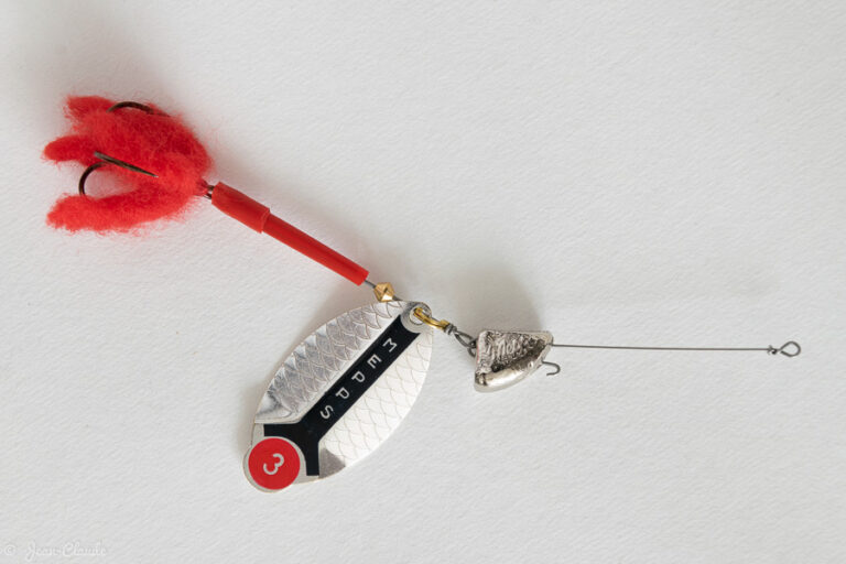 Comment bien débuter la pêche du brochet à la cuiller