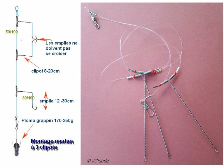Comment pêcher le bar en surfcasting