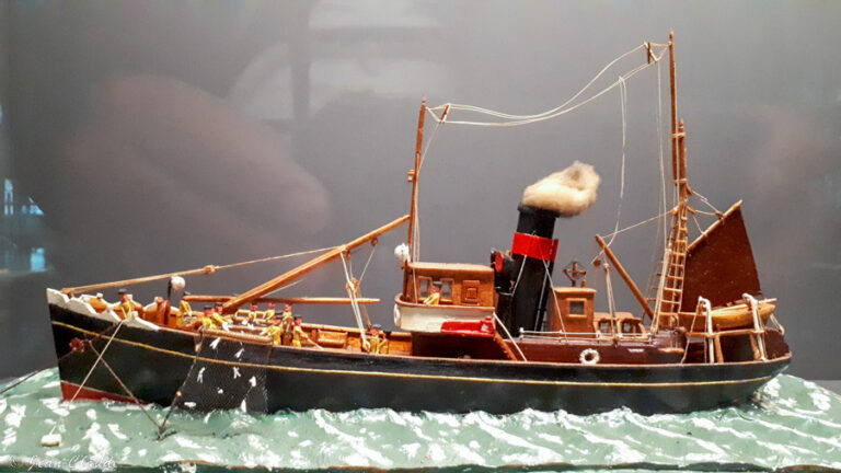 Hareng atlantique (Clupea harengus) - Poisson de mer migrateur